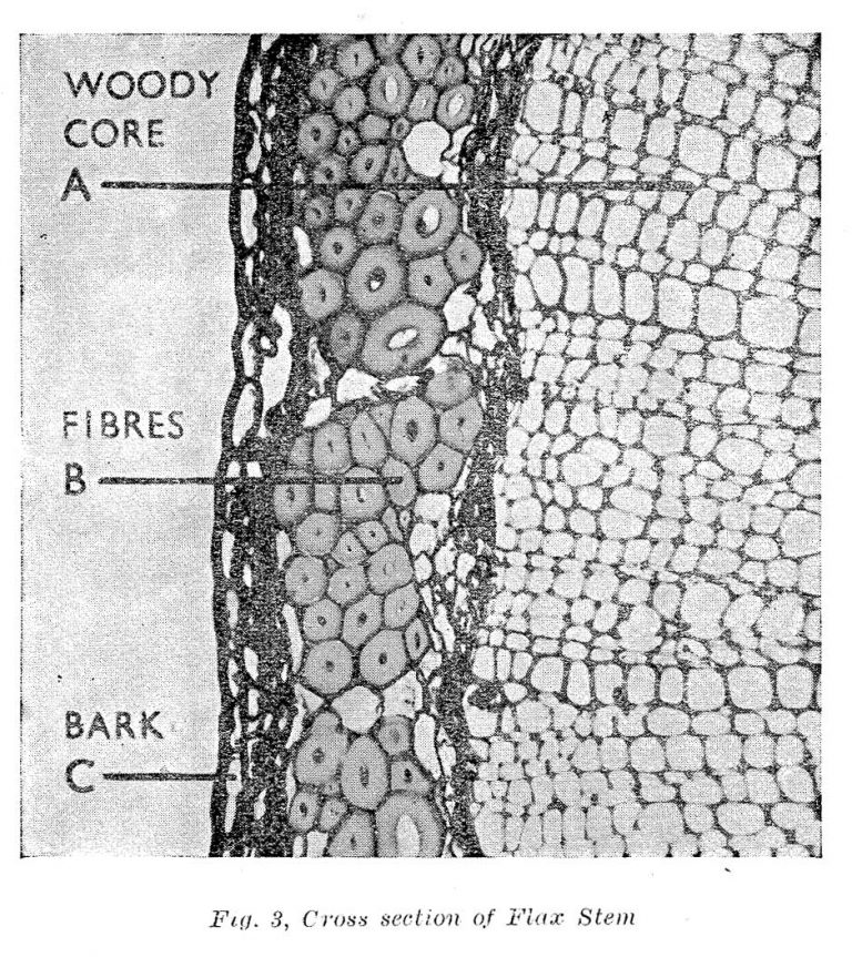 Linen Traits - Ulster Linen