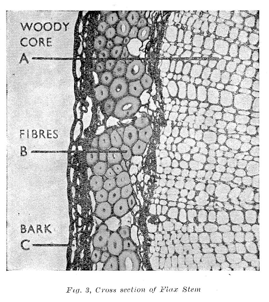 Linen Traits - Ulster Linen